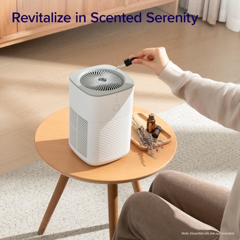 Small home air purifier store